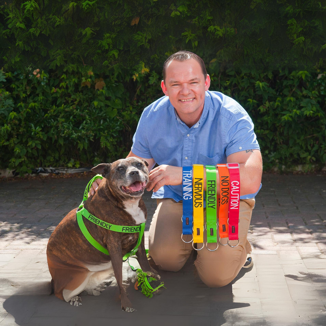 Our Story – Friendly Dog Collars