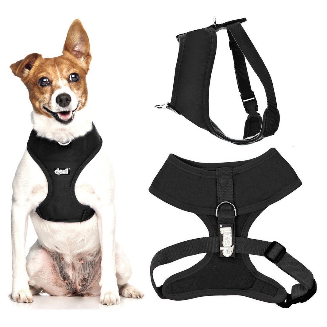 SECURITY – Friendly Dog Collars