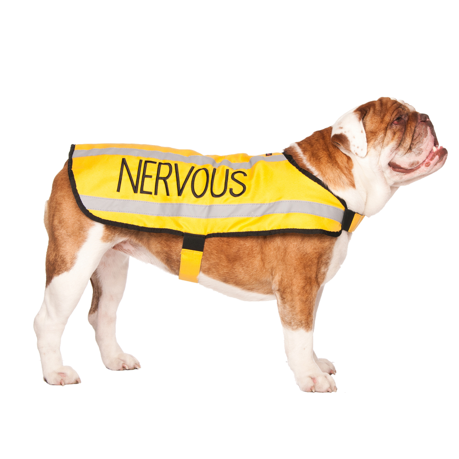 NERVOUS – Friendly Dog Collars