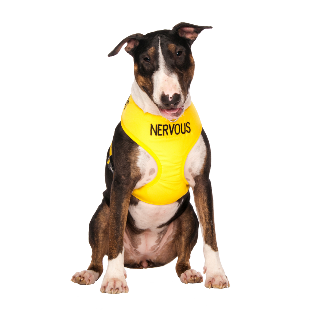 NERVOUS – Friendly Dog Collars