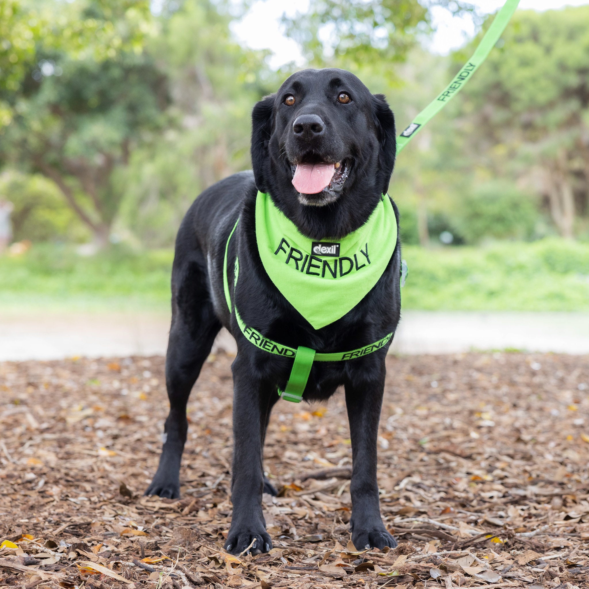 FRIENDLY – Friendly Dog Collars