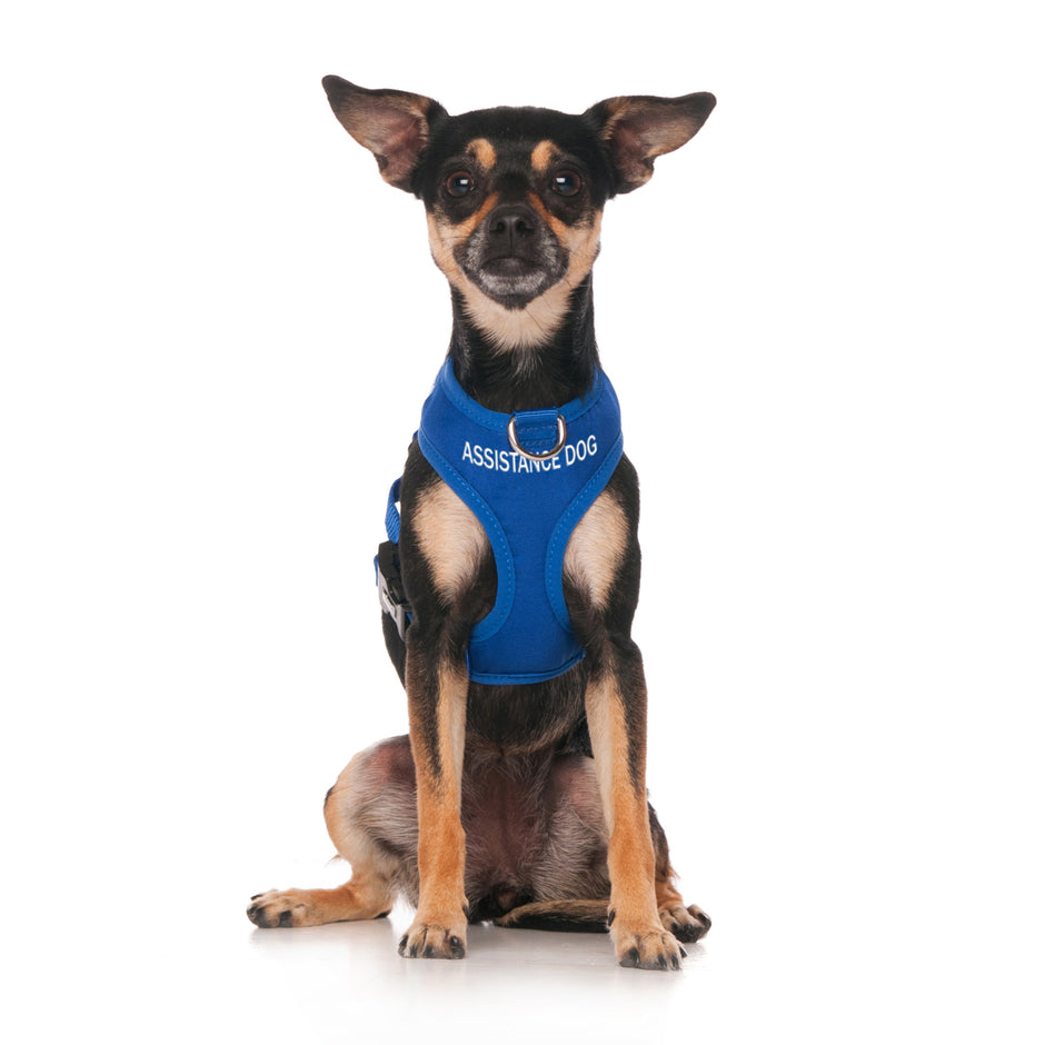 ASSISTANCE DOG – Friendly Dog Collars